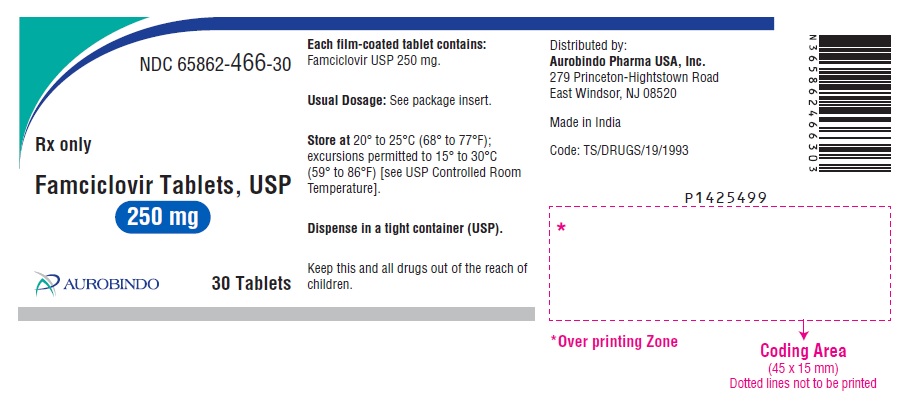 NDC 65862-0467-30 Famciclovir 500 mg/1 Details | HelloPharmacist